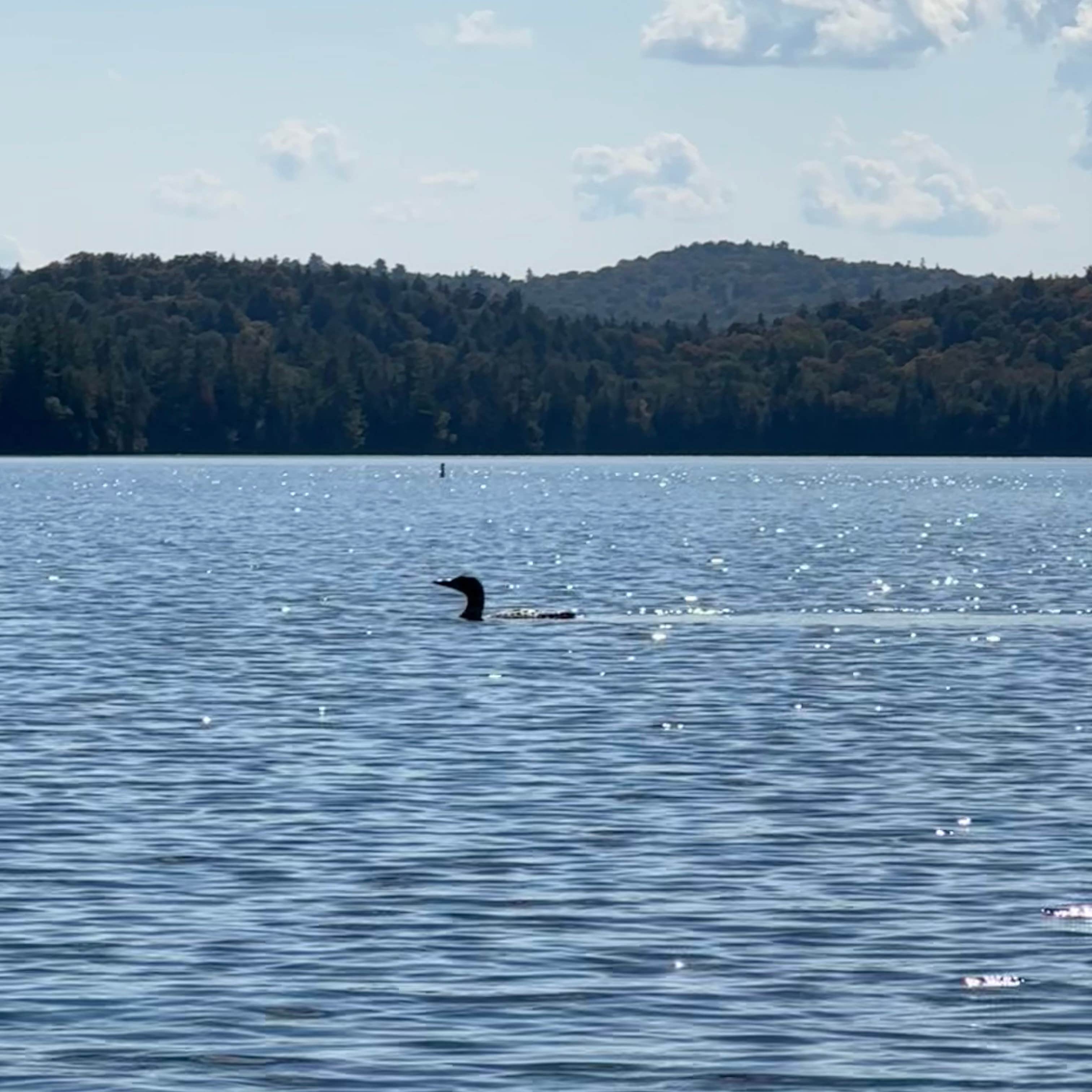 Lake Eaton Campground | Long Lake, New York