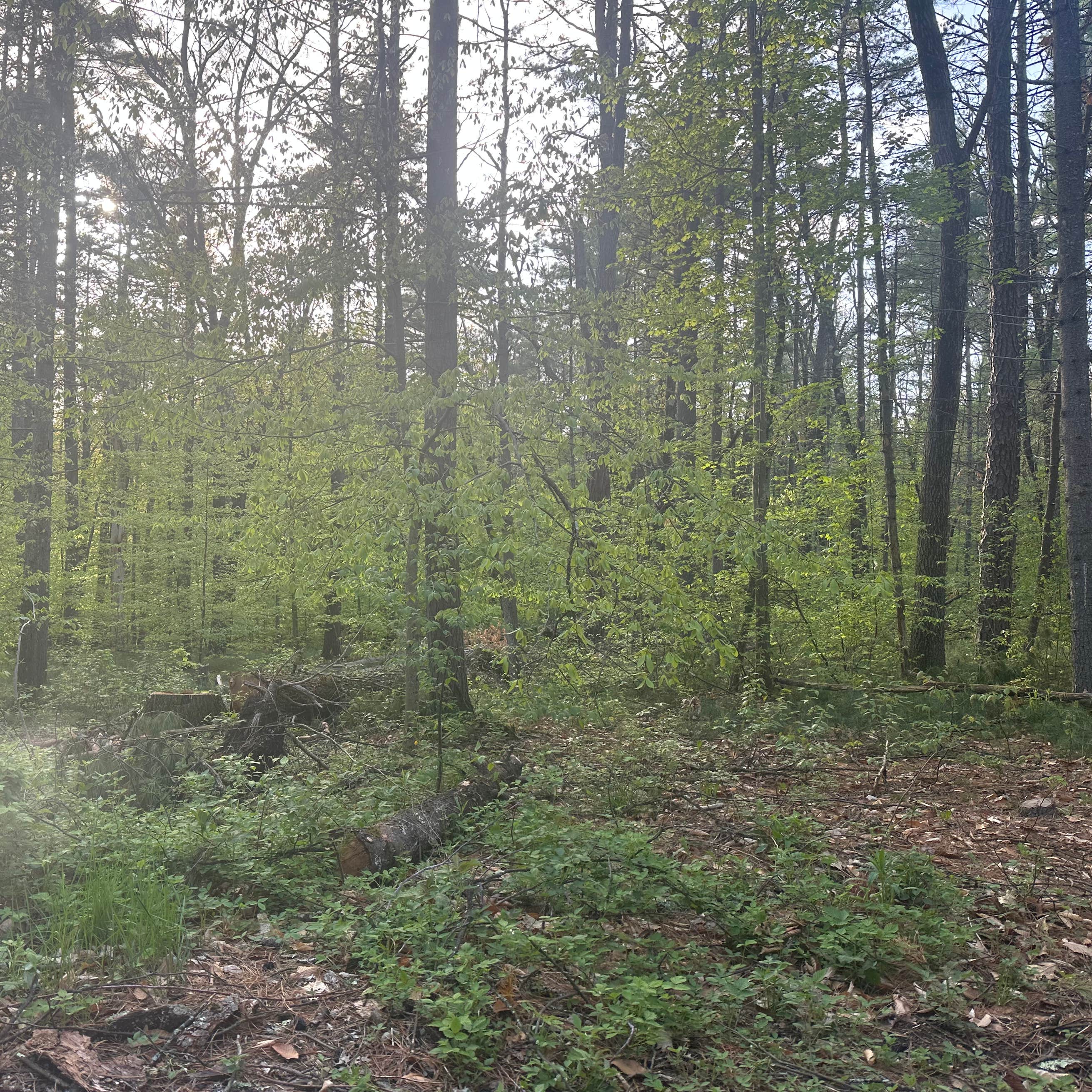 Moreau Lake State Park Campground | Gansevoort, New York