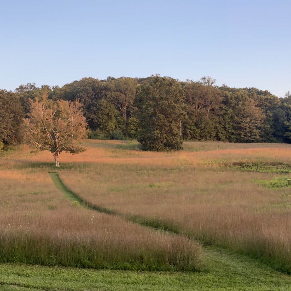 Ward Pound Ridge Reservation Camping | Pound Ridge, NY