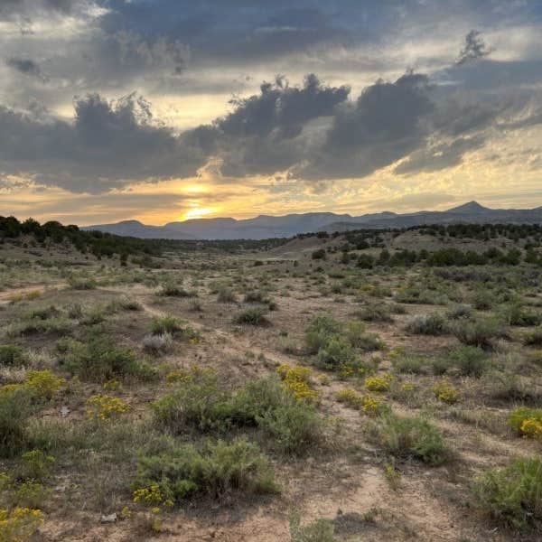 Petrified Forest Campground | Woodruff, Arizona