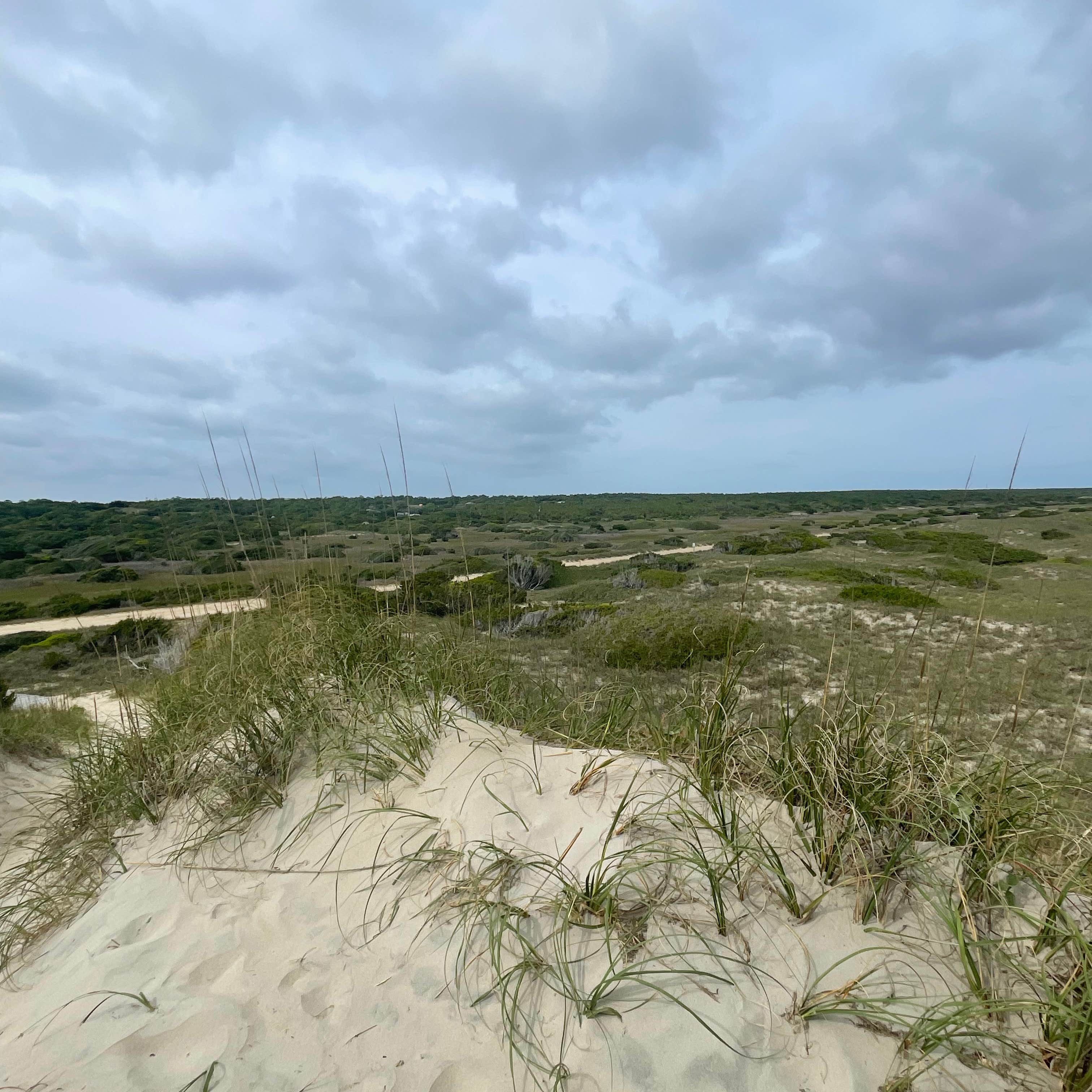 Frisco Campground — Cape Hatteras National Seashore | Frisco, North ...