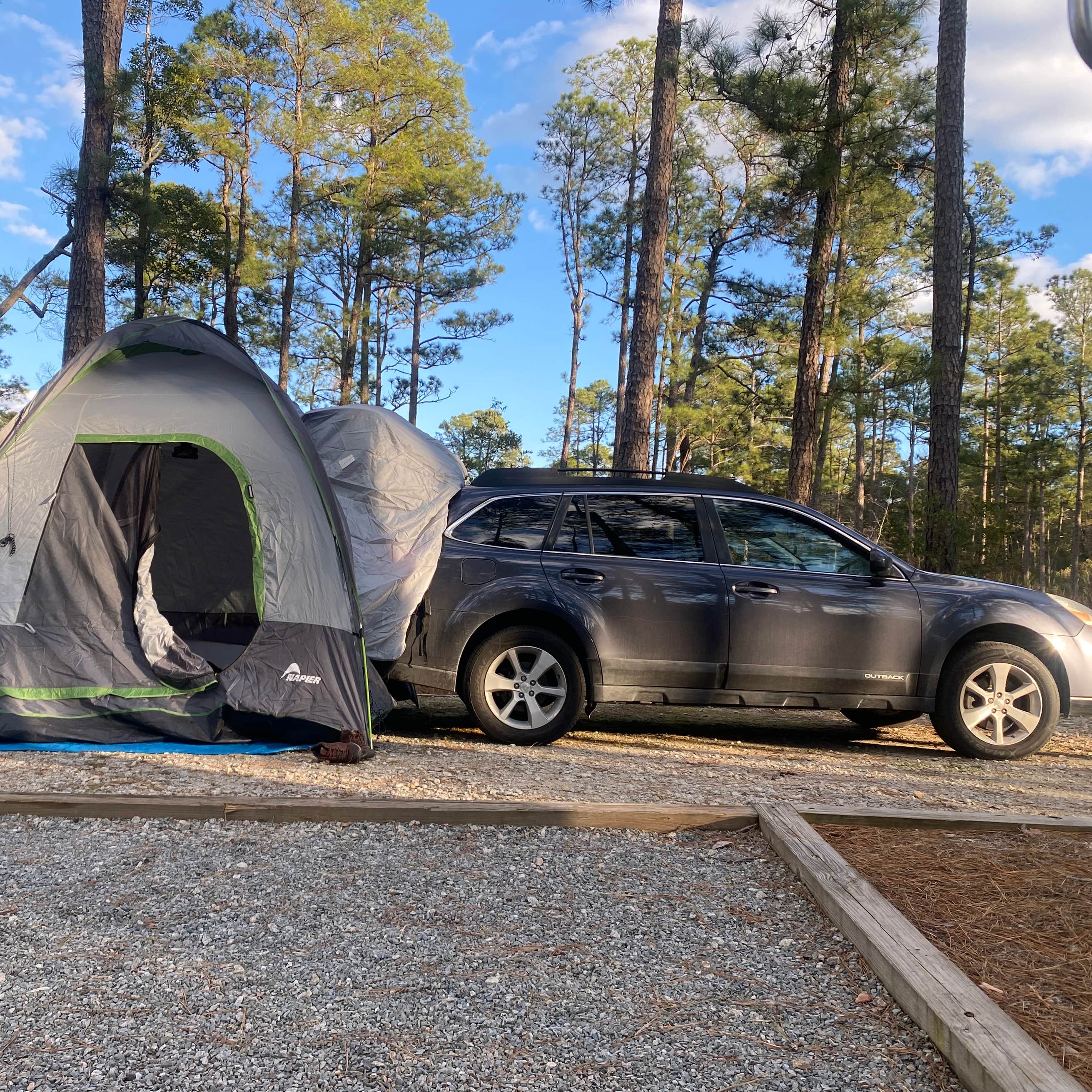 Jones Lake State Park Campground | Elizabethtown, North Carolina