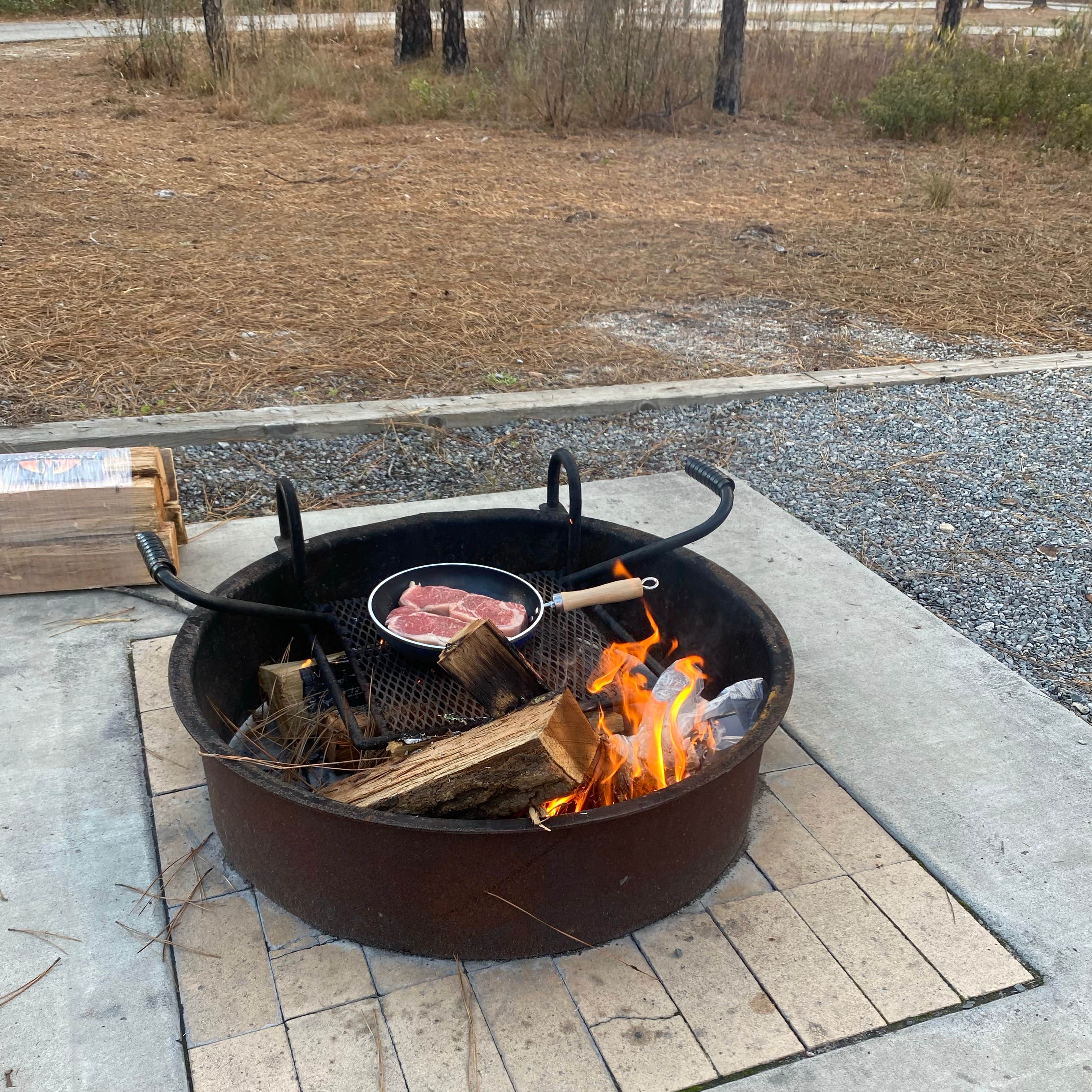 Jones Lake State Park Campground | Elizabethtown, North Carolina
