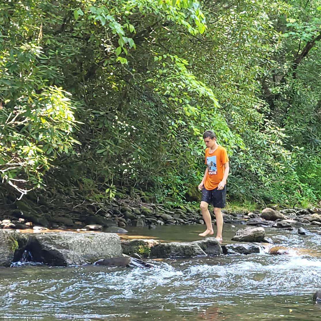 North Mills River Camping | Mills River, North Carolina
