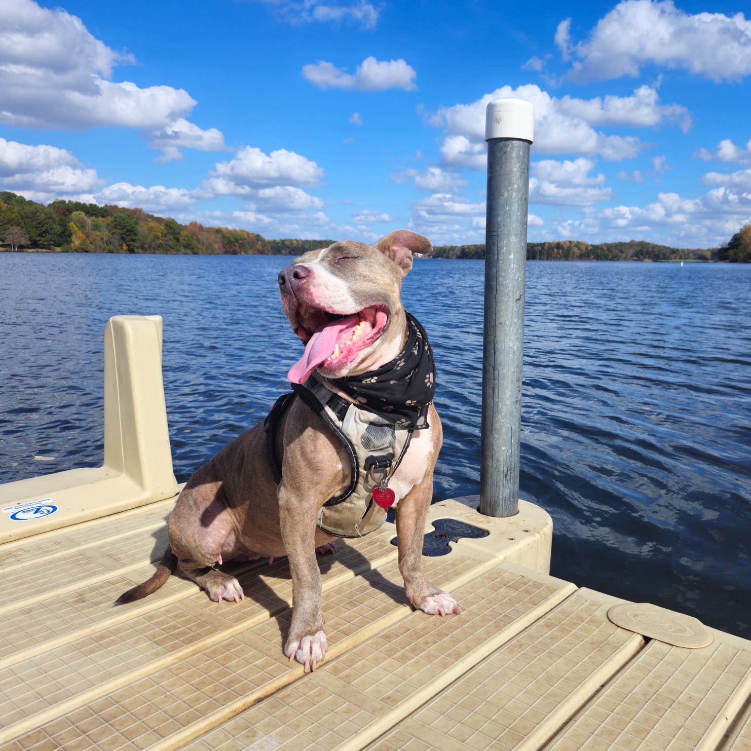 Oak Hollow City Campground | High Point, North Carolina