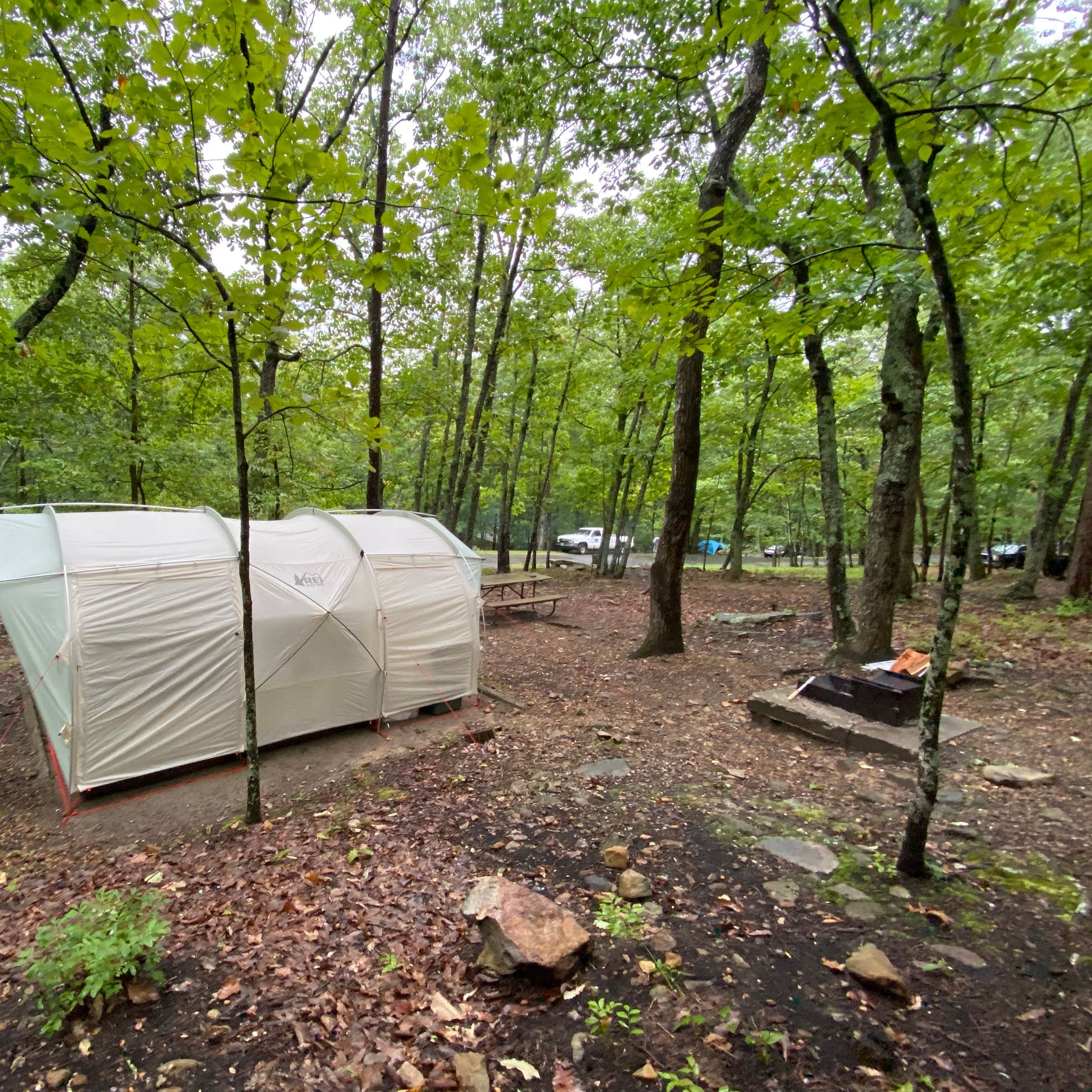 Pilot Mountain State Park Campground | Pinnacle, North Carolina