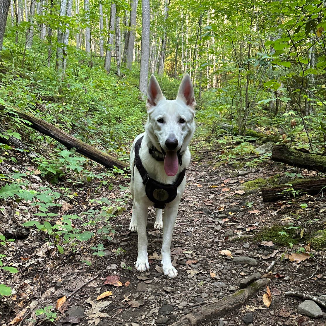 Tsali Campground | Whittier, NC