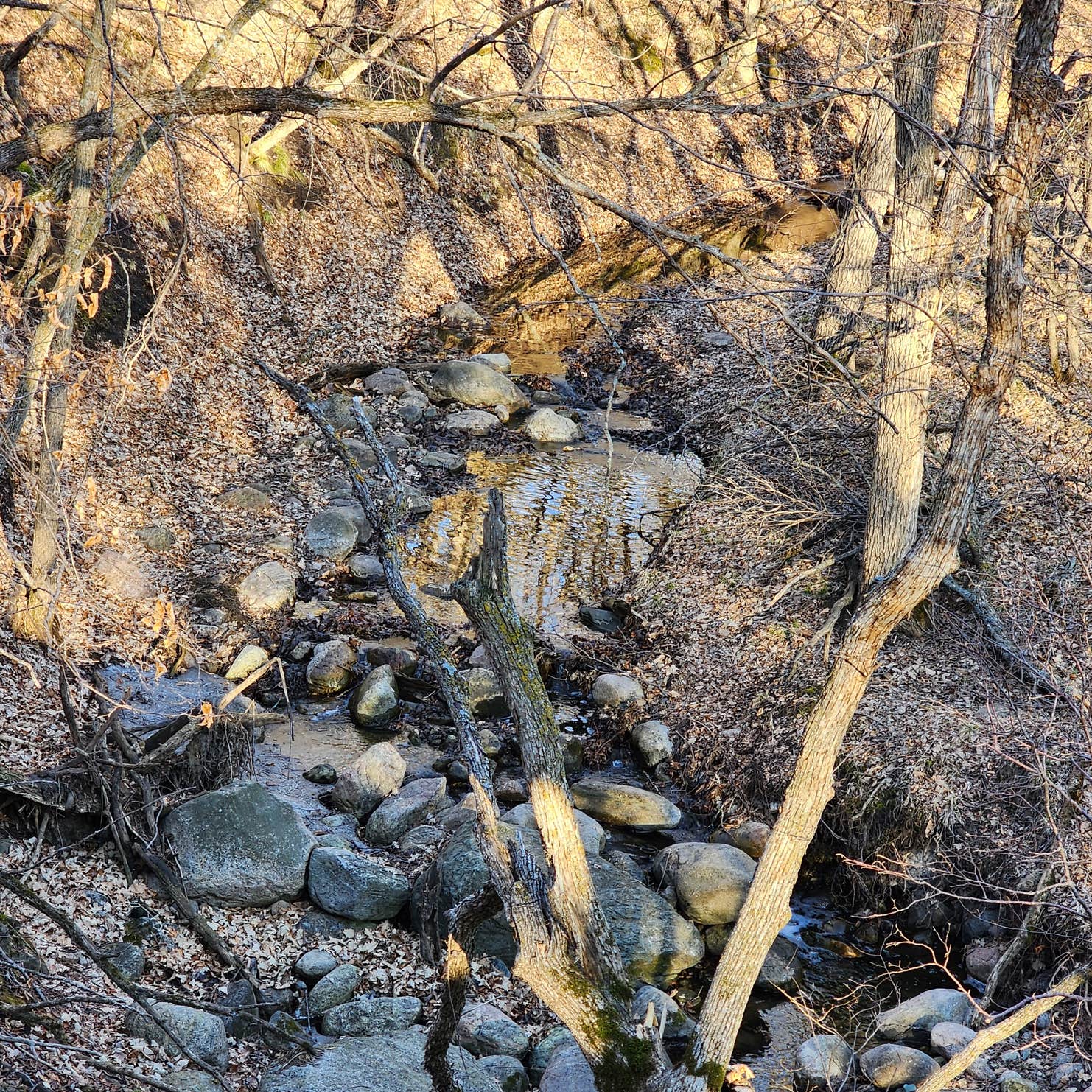 Fort Ransom State Park Campground | Fort Ransom, ND