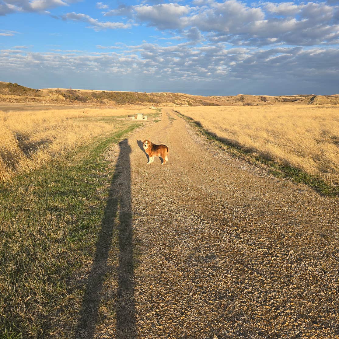 Little Beaver Bay Campground | Keene, North Dakota