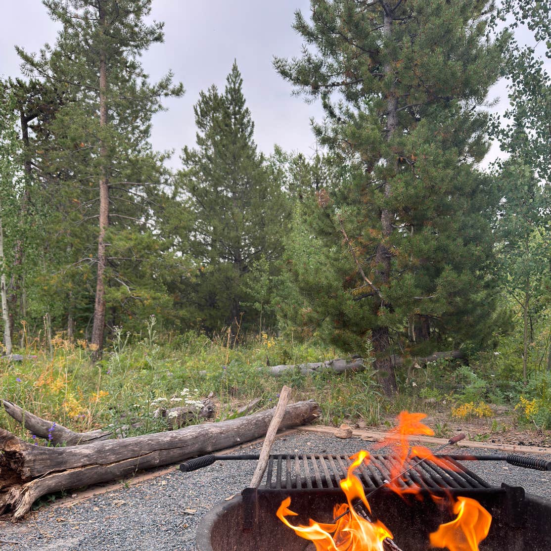 North Park Campground — State Forest State Park | Gould, Colorado