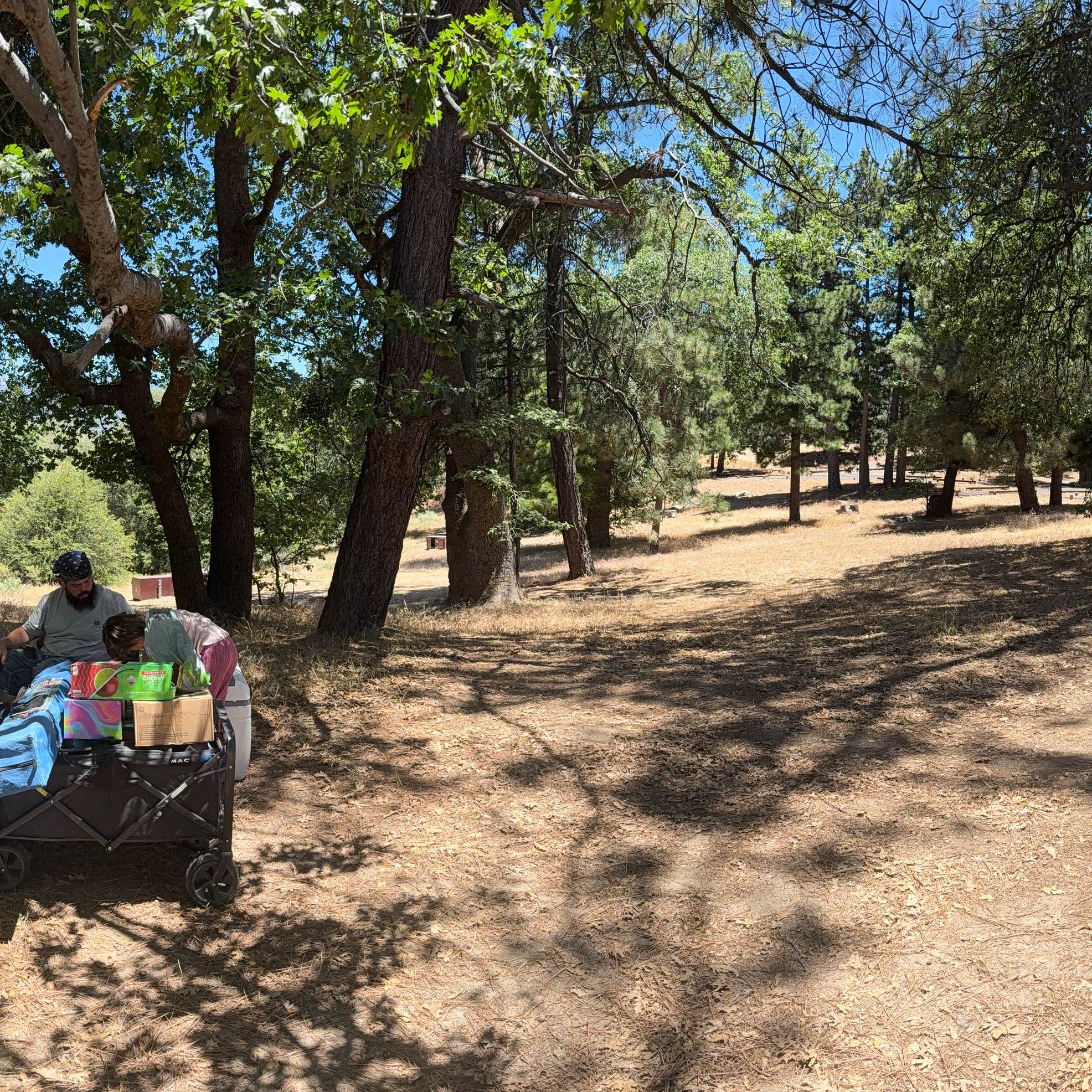 North Shore Campground - Lake Almanor | Cedar Glen, California
