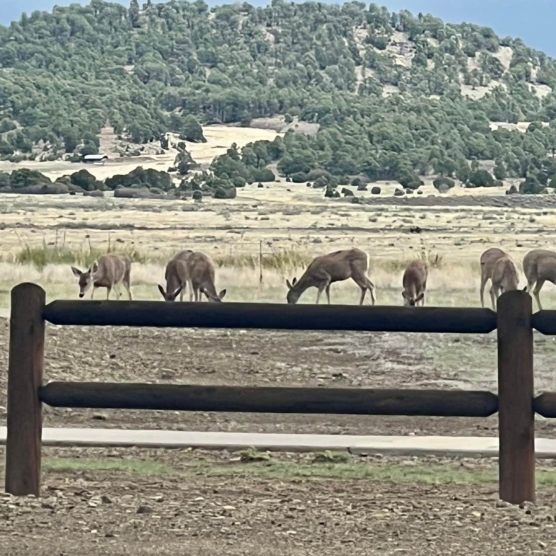 NRA Whittington Center Campground | Raton, New Mexico
