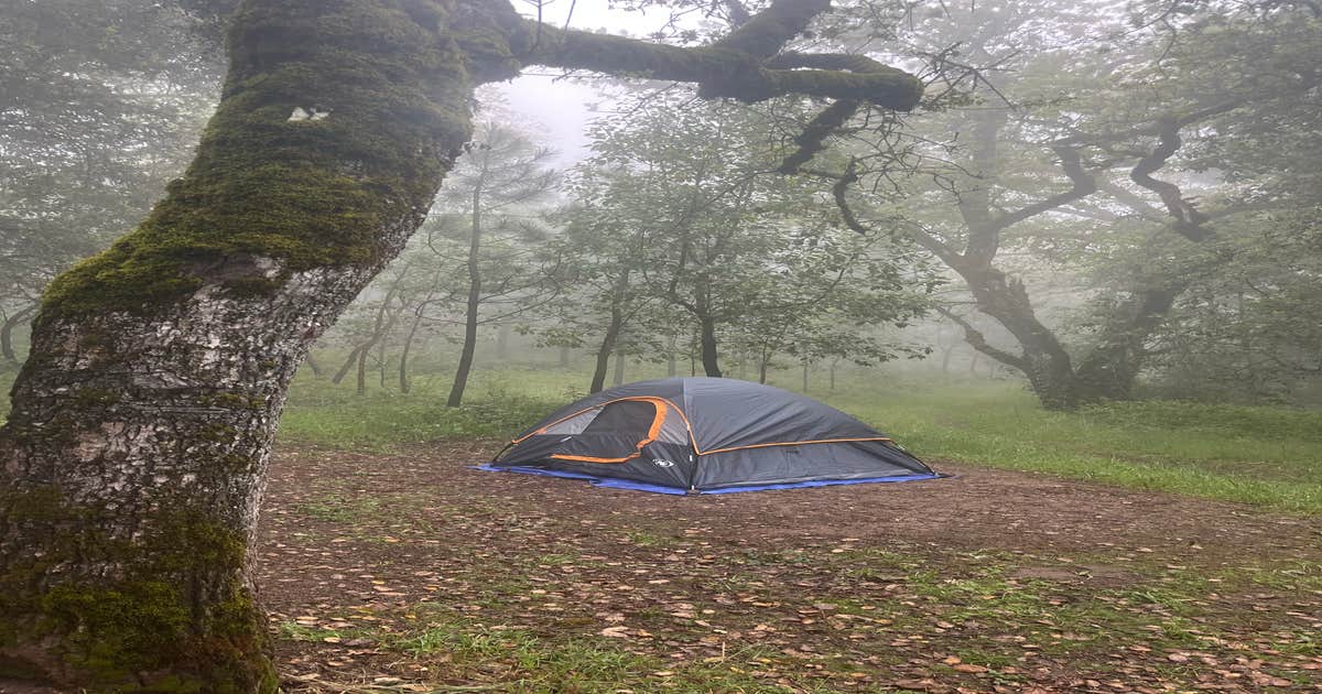 Camper-Submitted Photos of Valley View Campground — Fremont Peak State Park