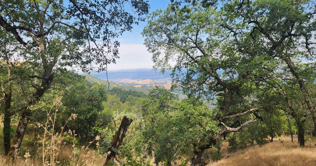 Valley View Campground — Fremont Peak State Park | San Juan Bautista ...
