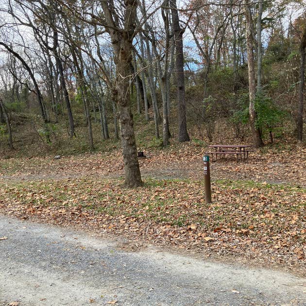 Oak Ridge Campground — Prince William Forest Park | Dumfries, Virginia