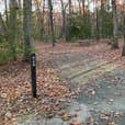 Oak Ridge Campground — Prince William Forest Park | Dumfries, Virginia