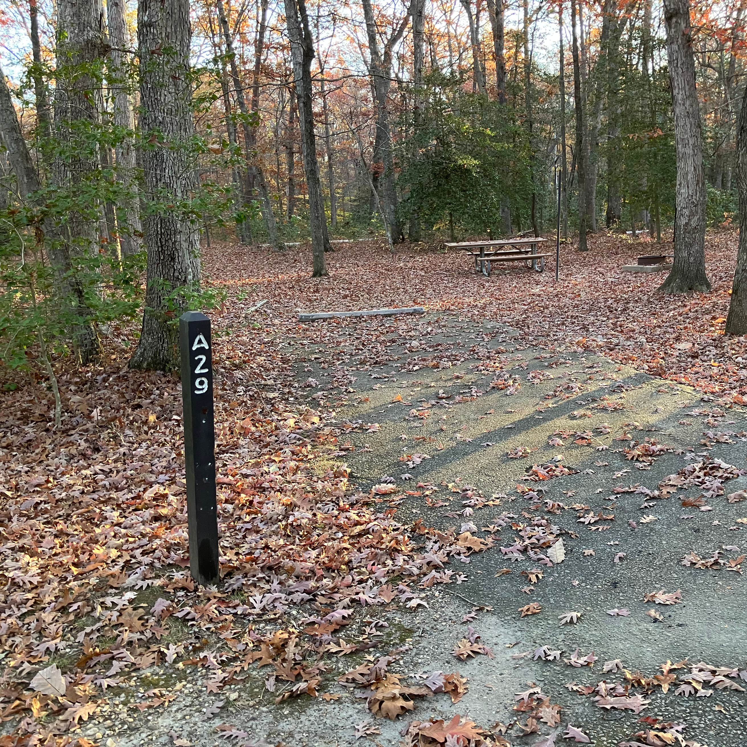 Oak Ridge Campground — Prince William Forest Park | Dumfries, Virginia
