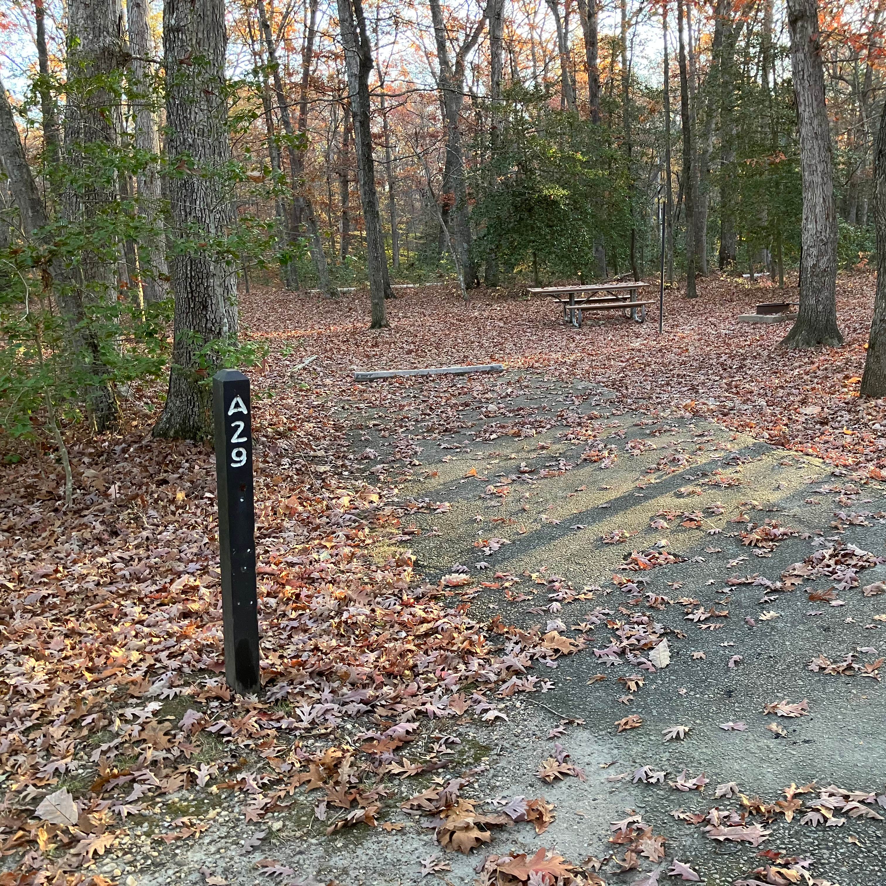 Oak Ridge Campground — Prince William Forest Park | Dumfries, Virginia