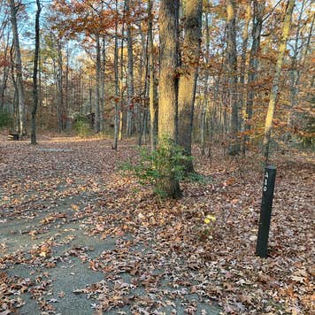 Oak Ridge Campground — Prince William Forest Park | Triangle, VA