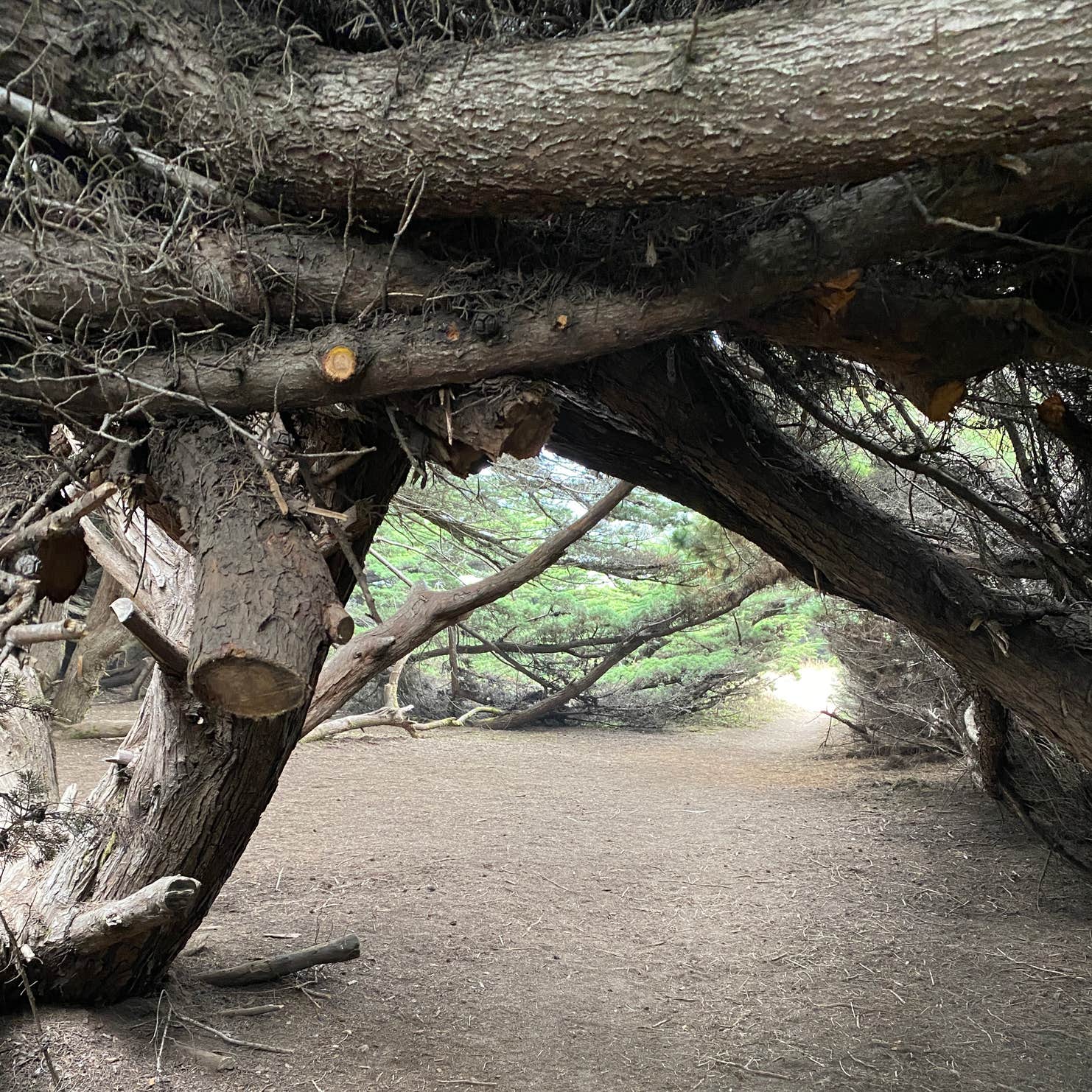 Ocean Cove Store and Campground | Jenner, CA