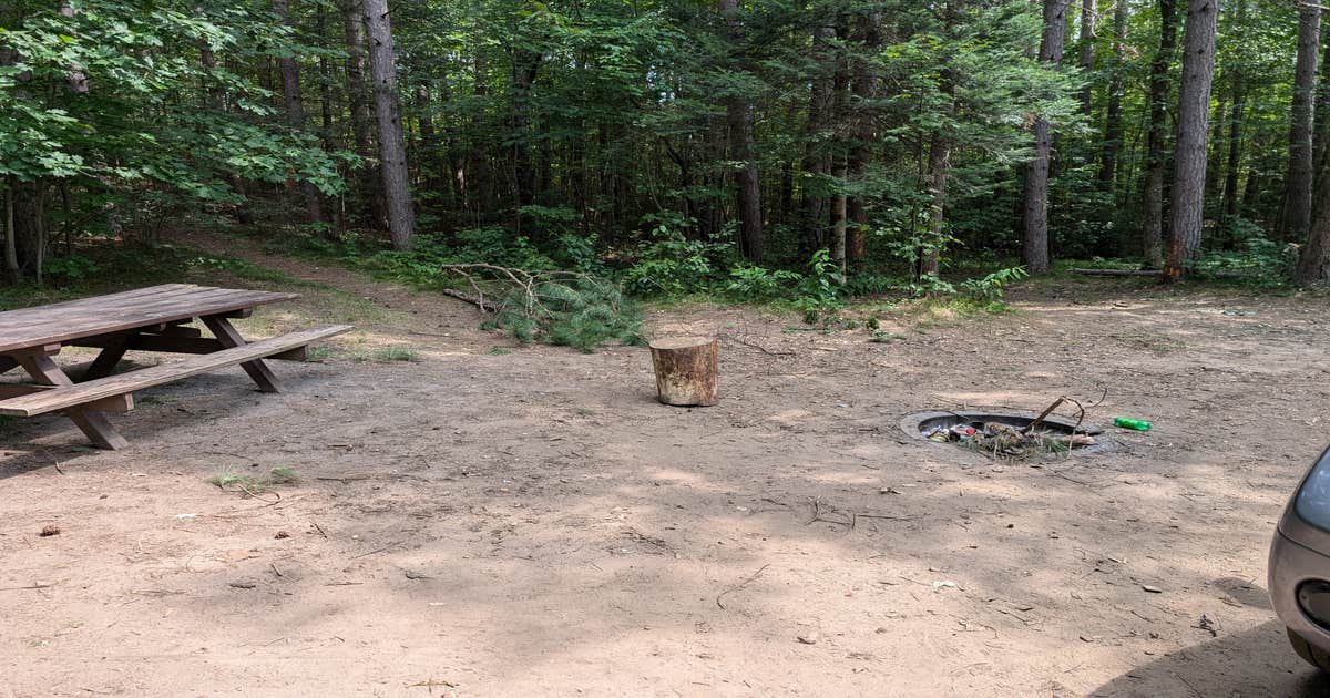Oconto River off Mountain Lake Road Camping | Mountain, Wisconsin