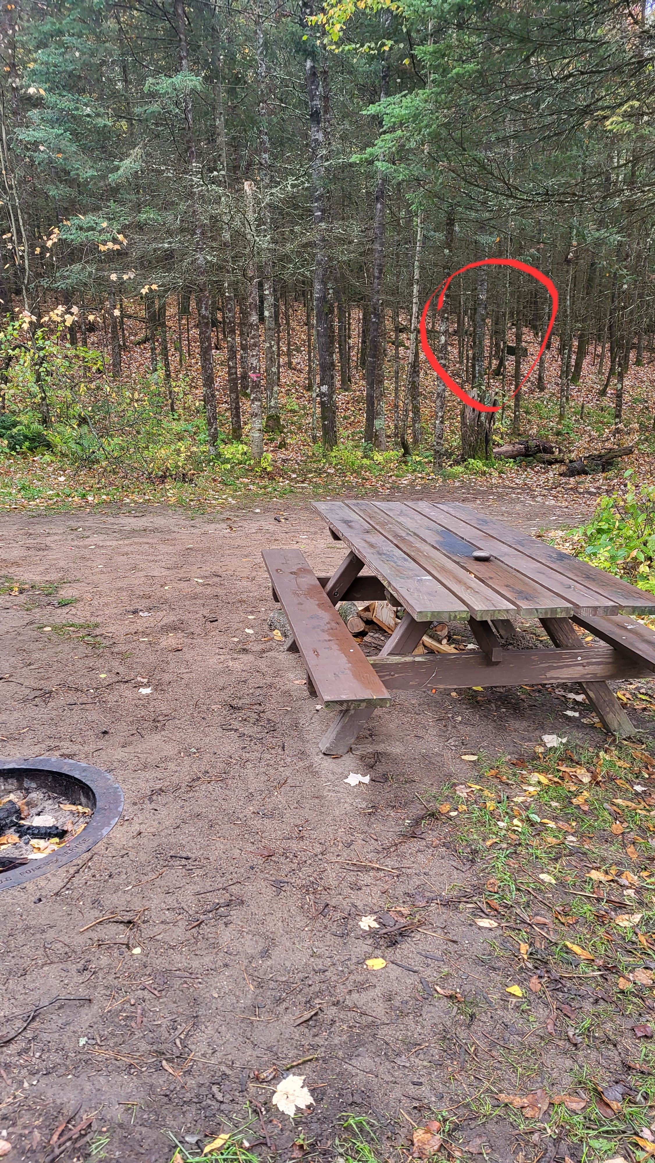 Oconto River off Mountain Lake Road Camping | Mountain, WI