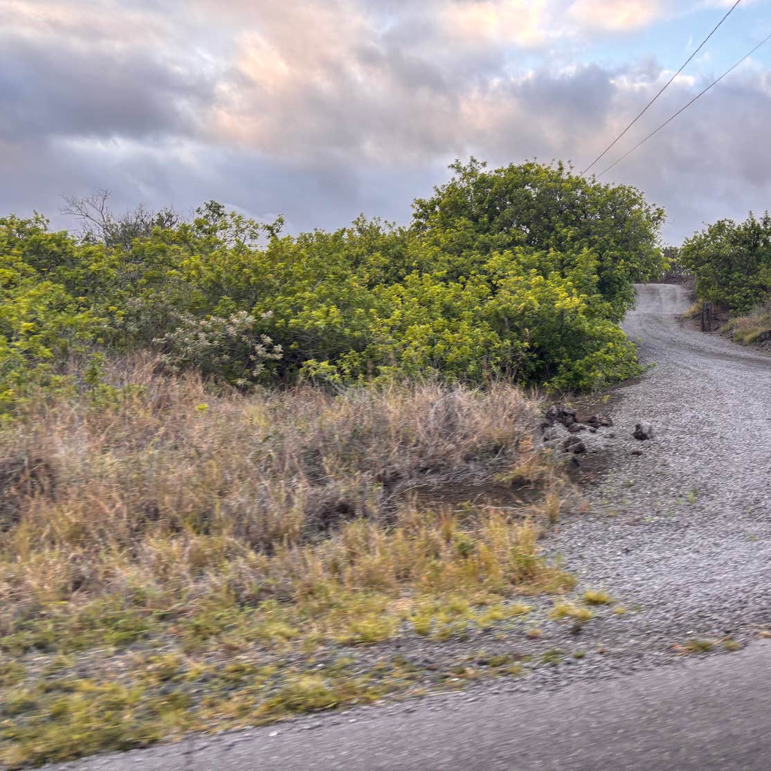 Ohana Hutz Camping | Hawaii Volcanoes National Park, HI