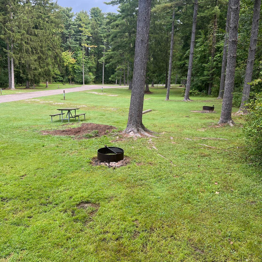 Findley State Park Camping | Wellington, OH | The Dyrt