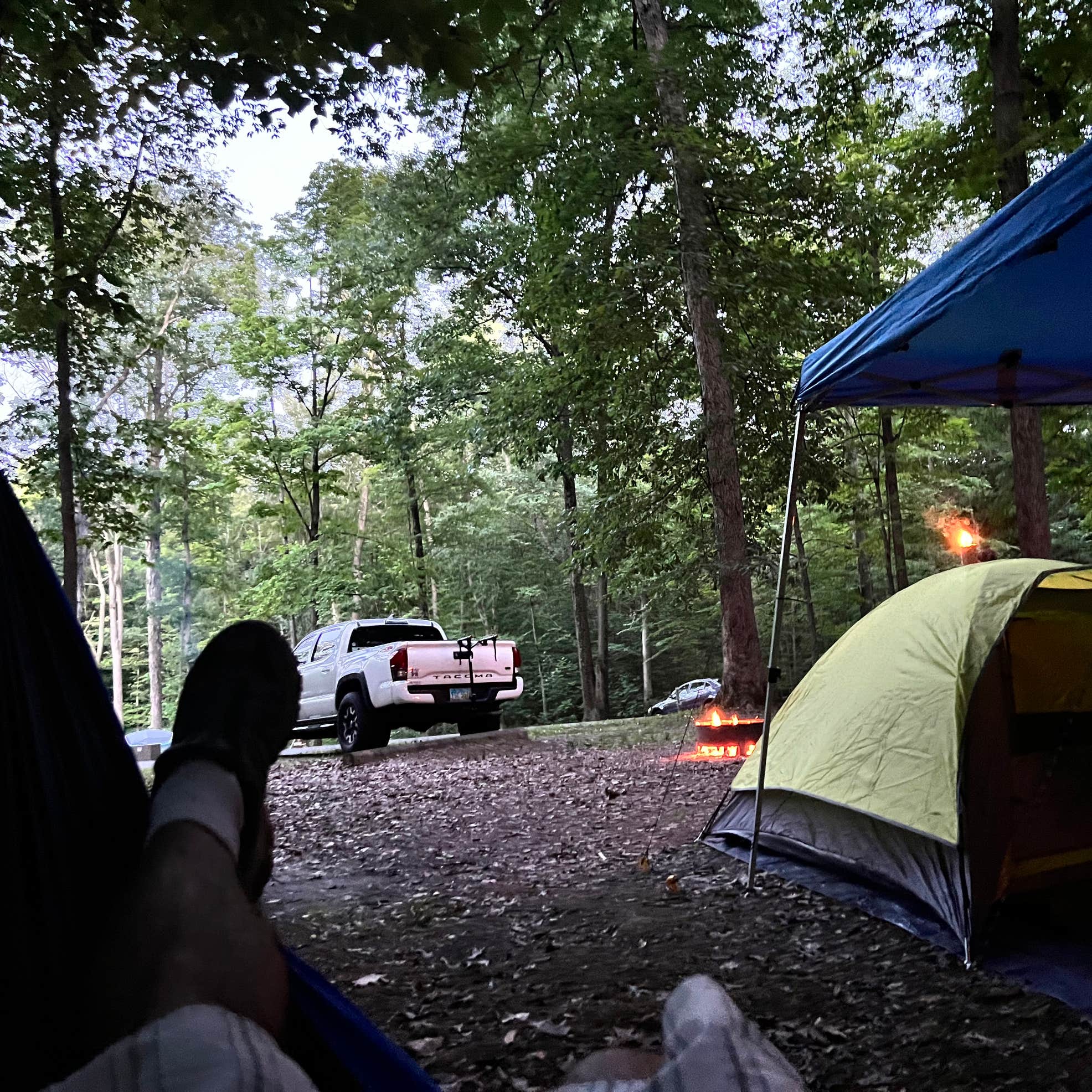 Findley State Park Campground | Wellington, Ohio