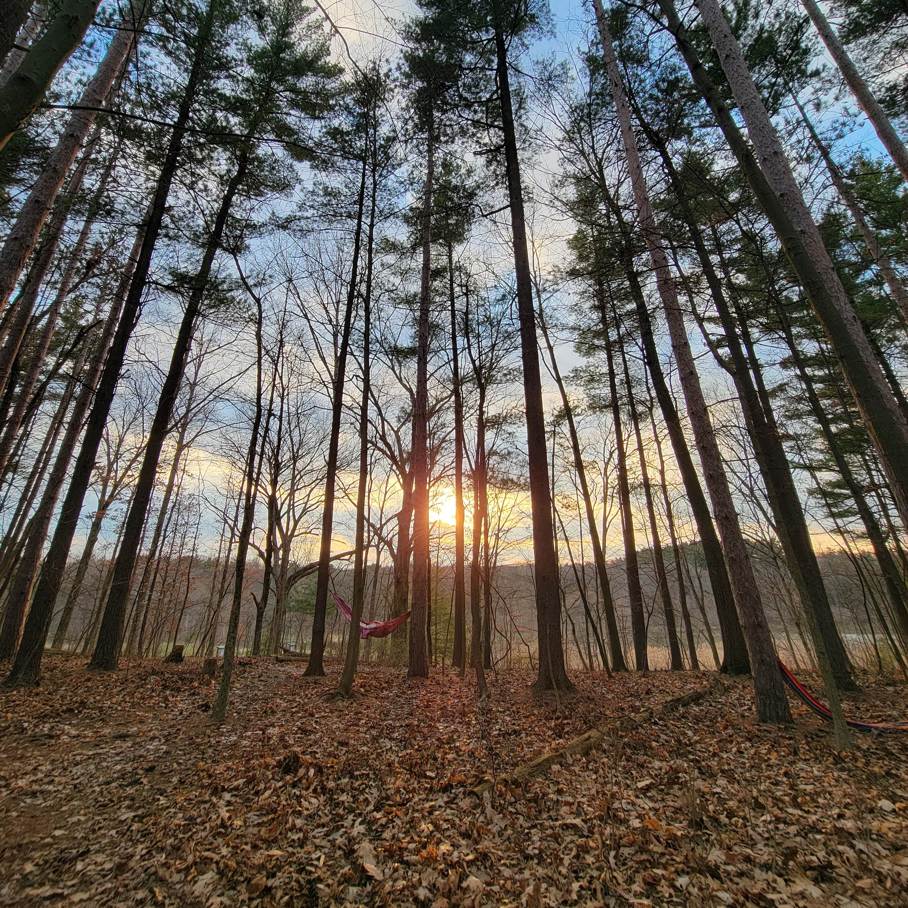 Findley State Park Campground | Wellington, Ohio