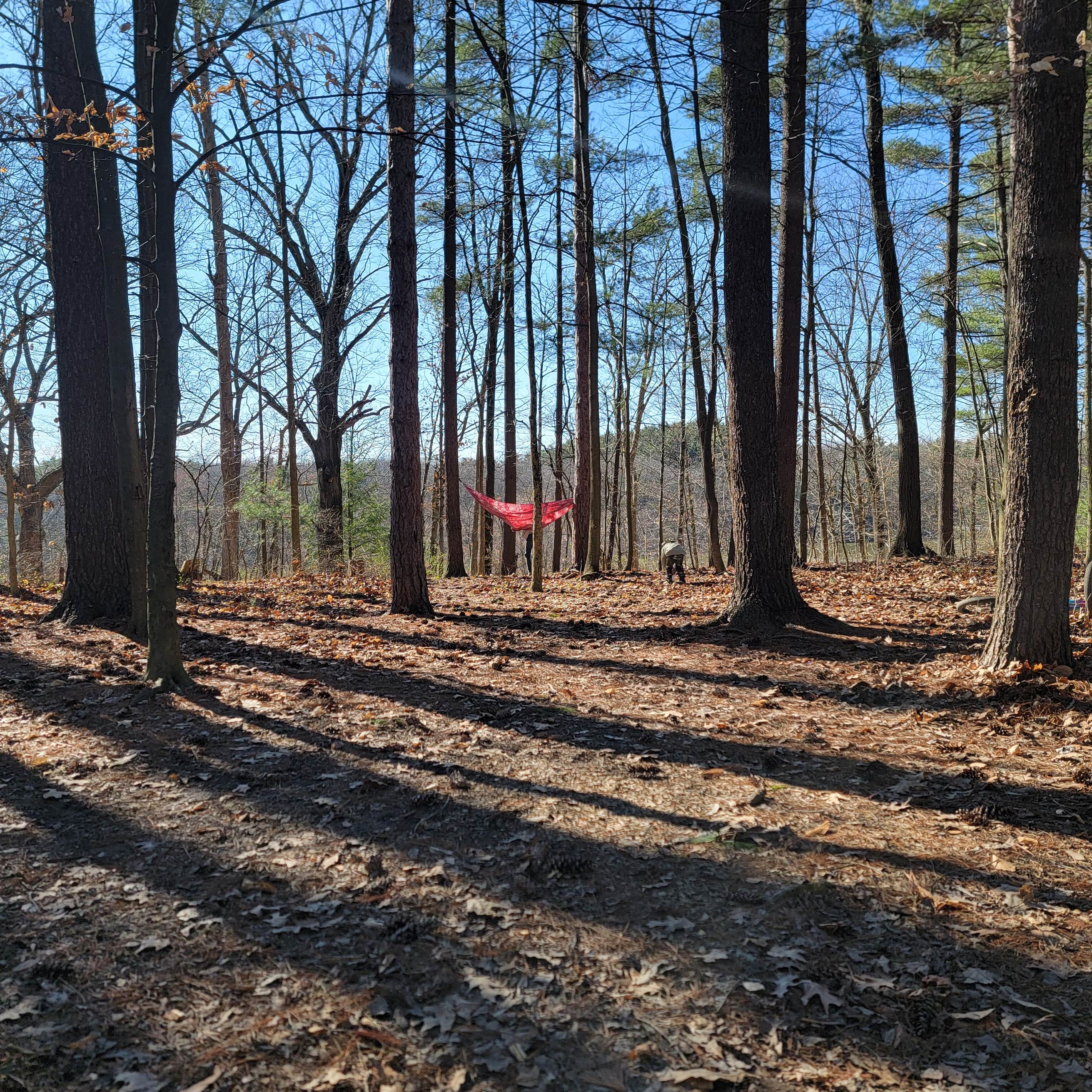 Findley State Park Campground | Wellington, Ohio