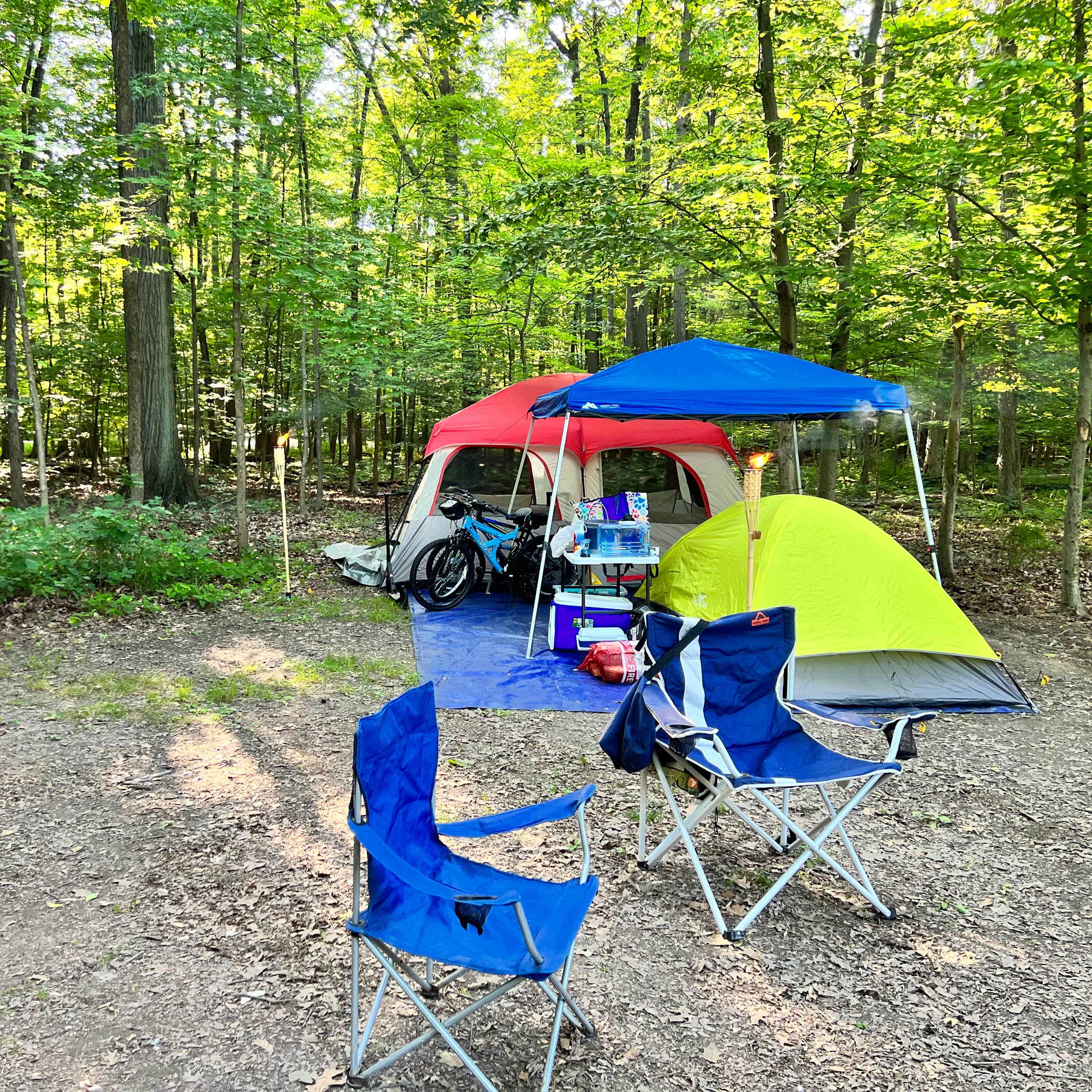 Findley State Park Campground | Wellington, Ohio