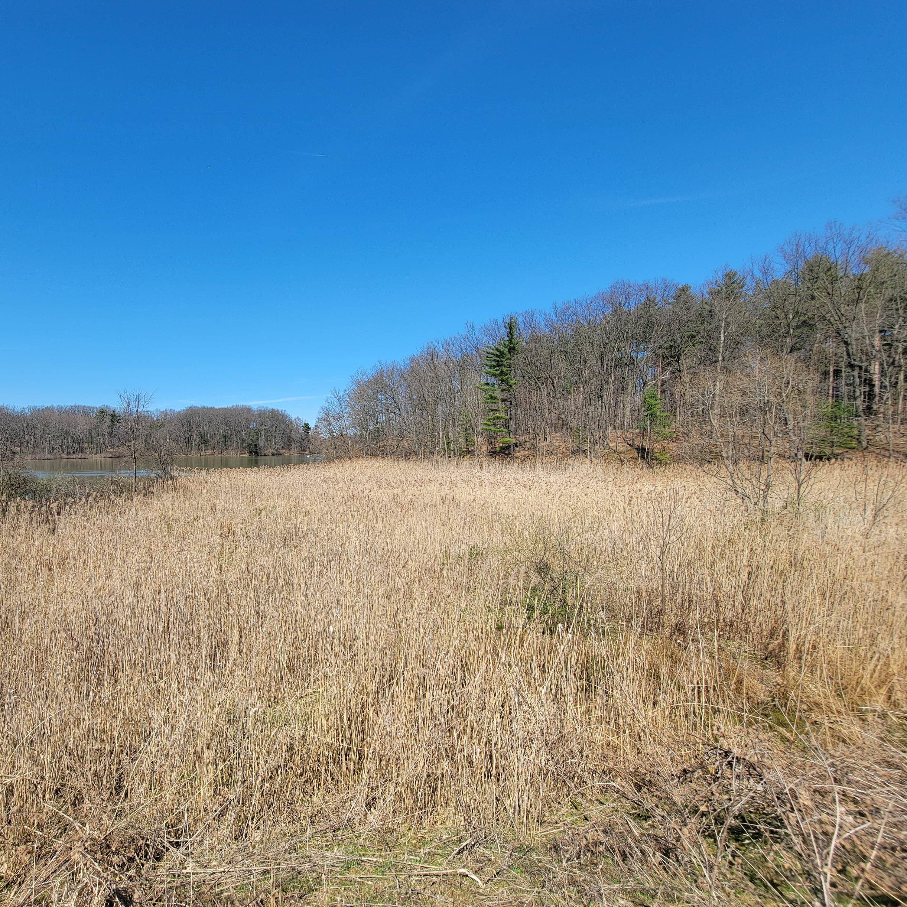 Findley State Park Campground | Wellington, Ohio