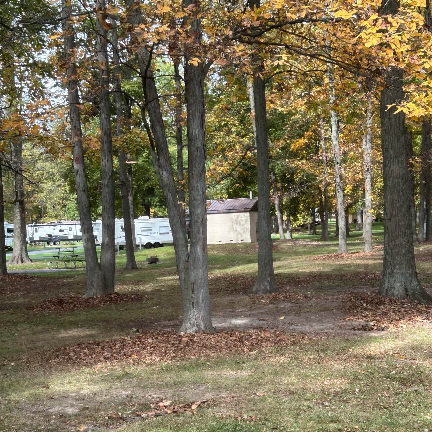 Indian Lake State Park Campground | Lakeview, Ohio