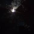 Riverbend Recreation Area Campground | Findlay, Ohio