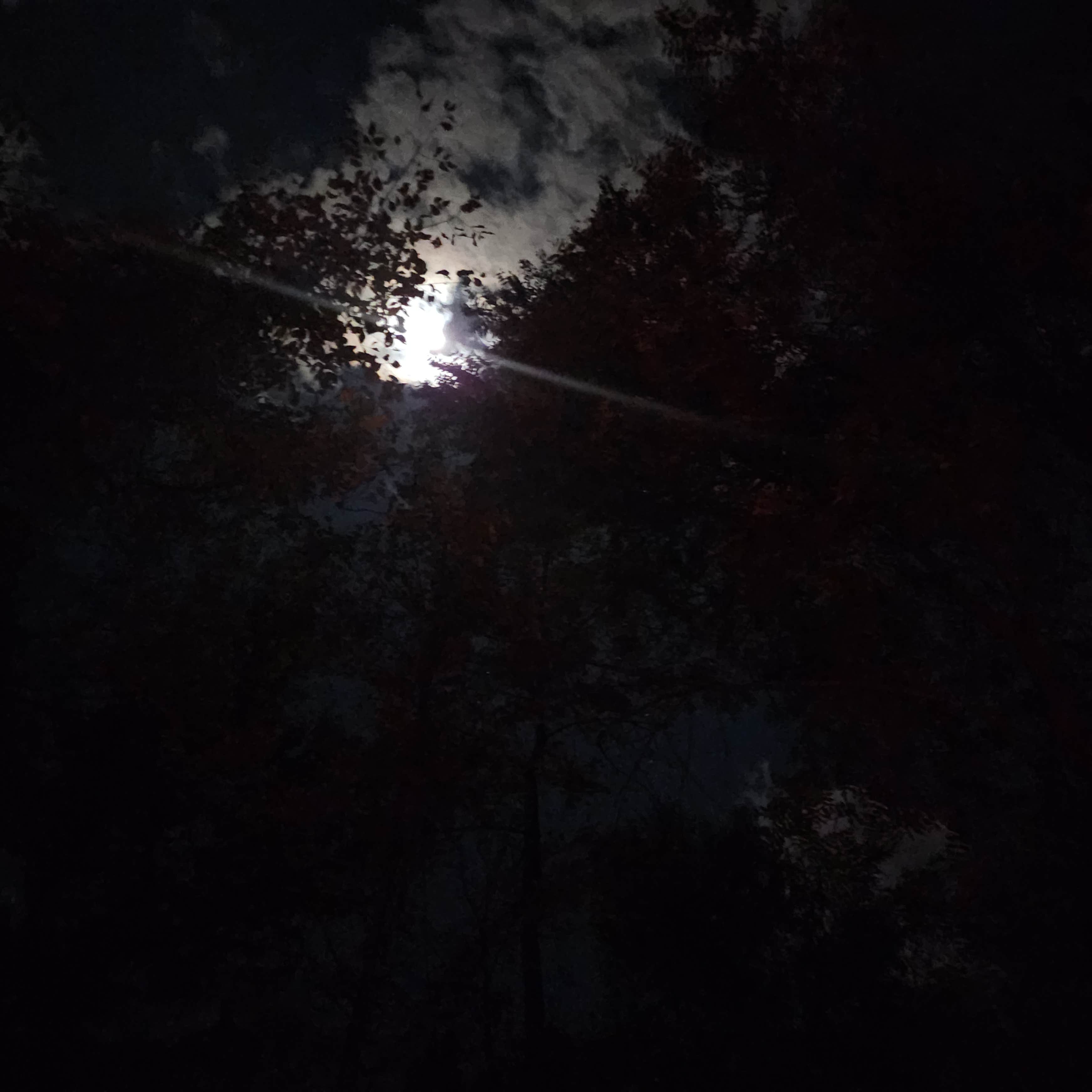 Riverbend Recreation Area Campground | Findlay, Ohio