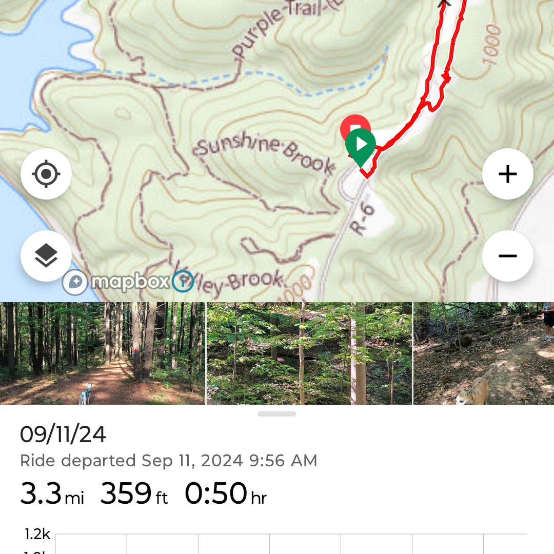 Salt Fork State Park Campground | Kimbolton, Ohio