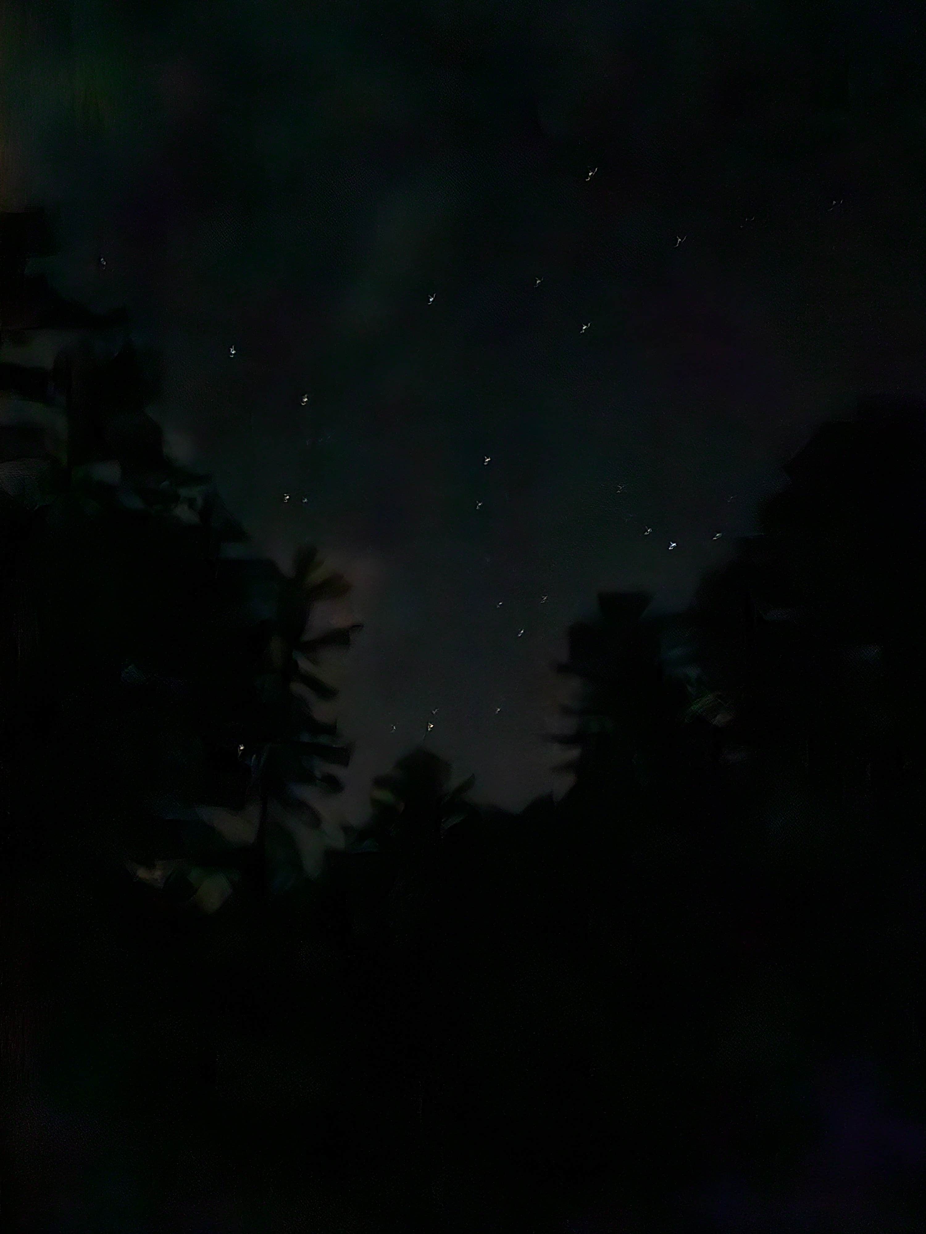 Tappan Lake Park Campground | Deersville, OH