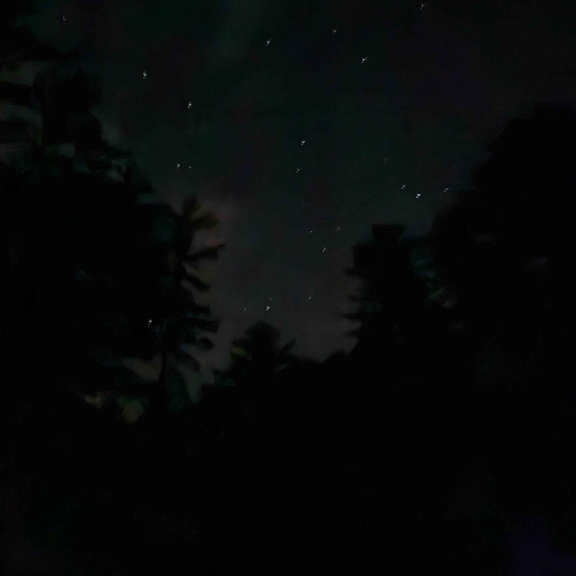 Tappan Lake Park Campground | Deersville, Ohio