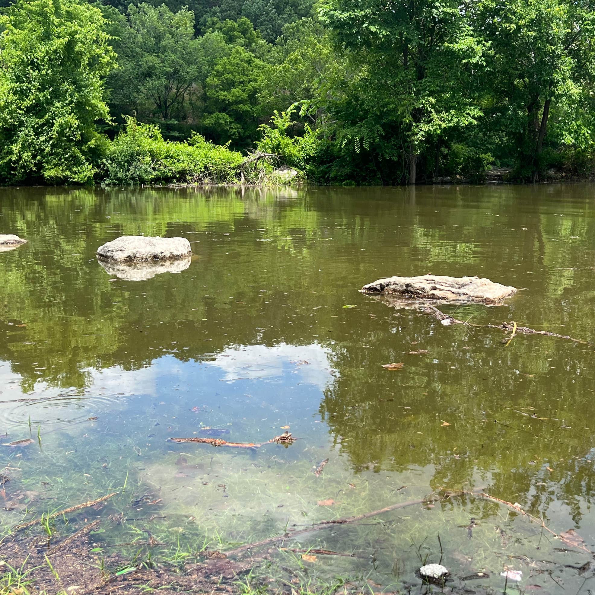 Hawthorn Bluff Camping | Oologah, Oklahoma