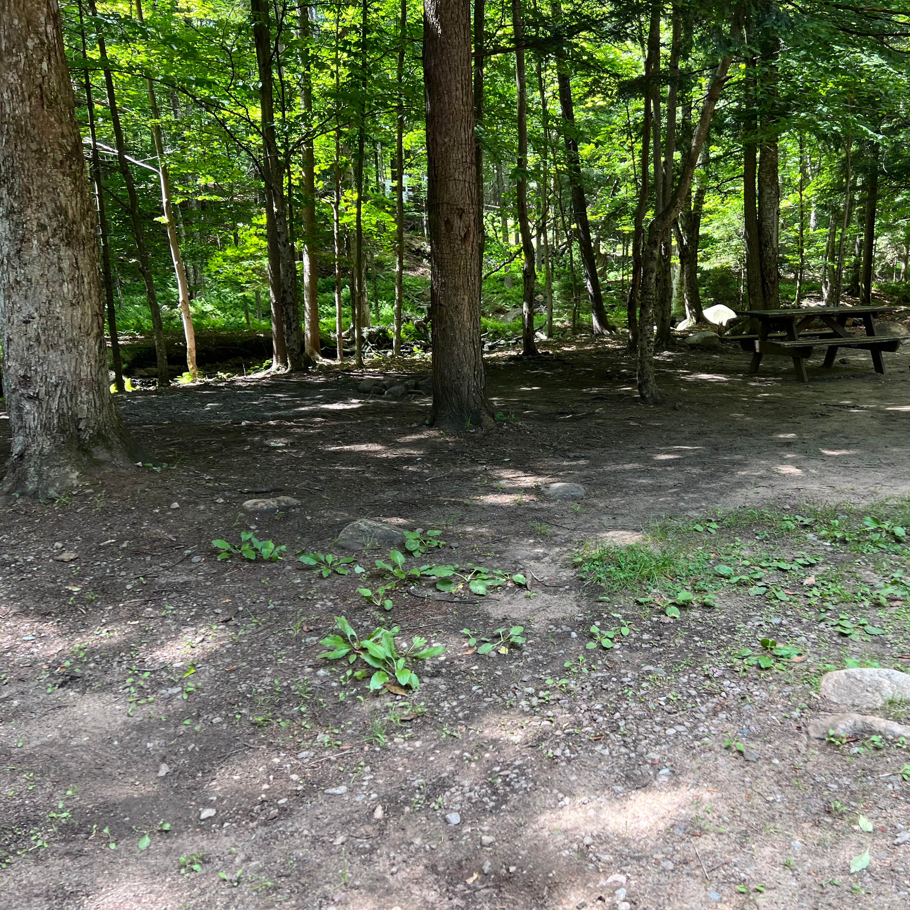 Old Forge Camping Resort | Old Forge, New York