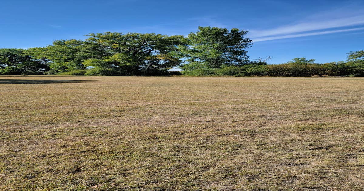 Lake Carthage Lakeside Use Area Camping | Lake Preston, South Dakota