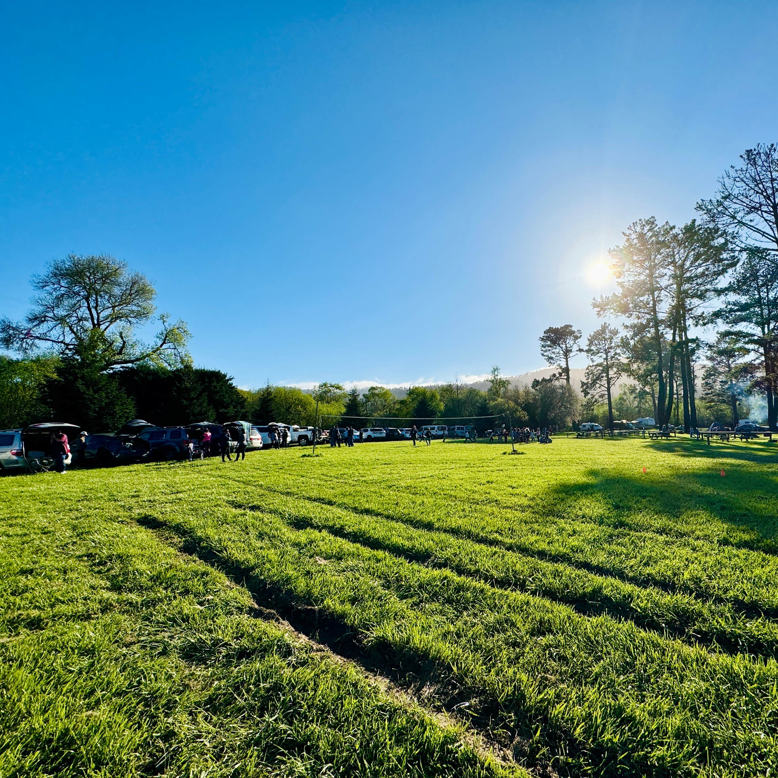 Olema Campground | Olema, CA