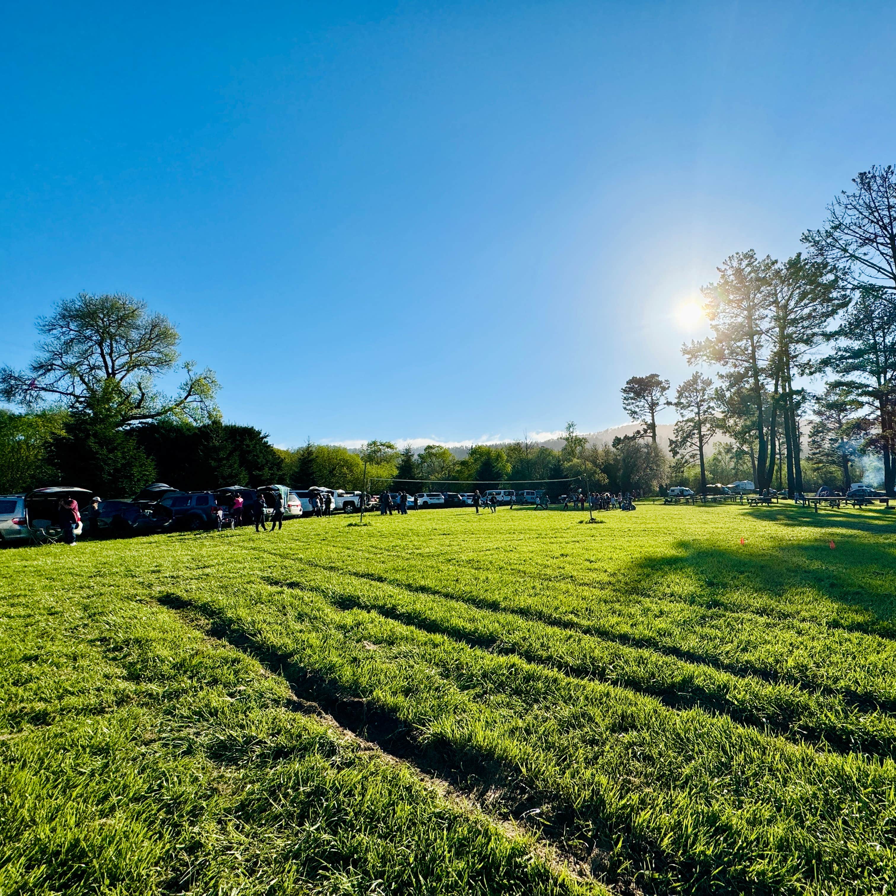 Olema Campground | Olema, CA
