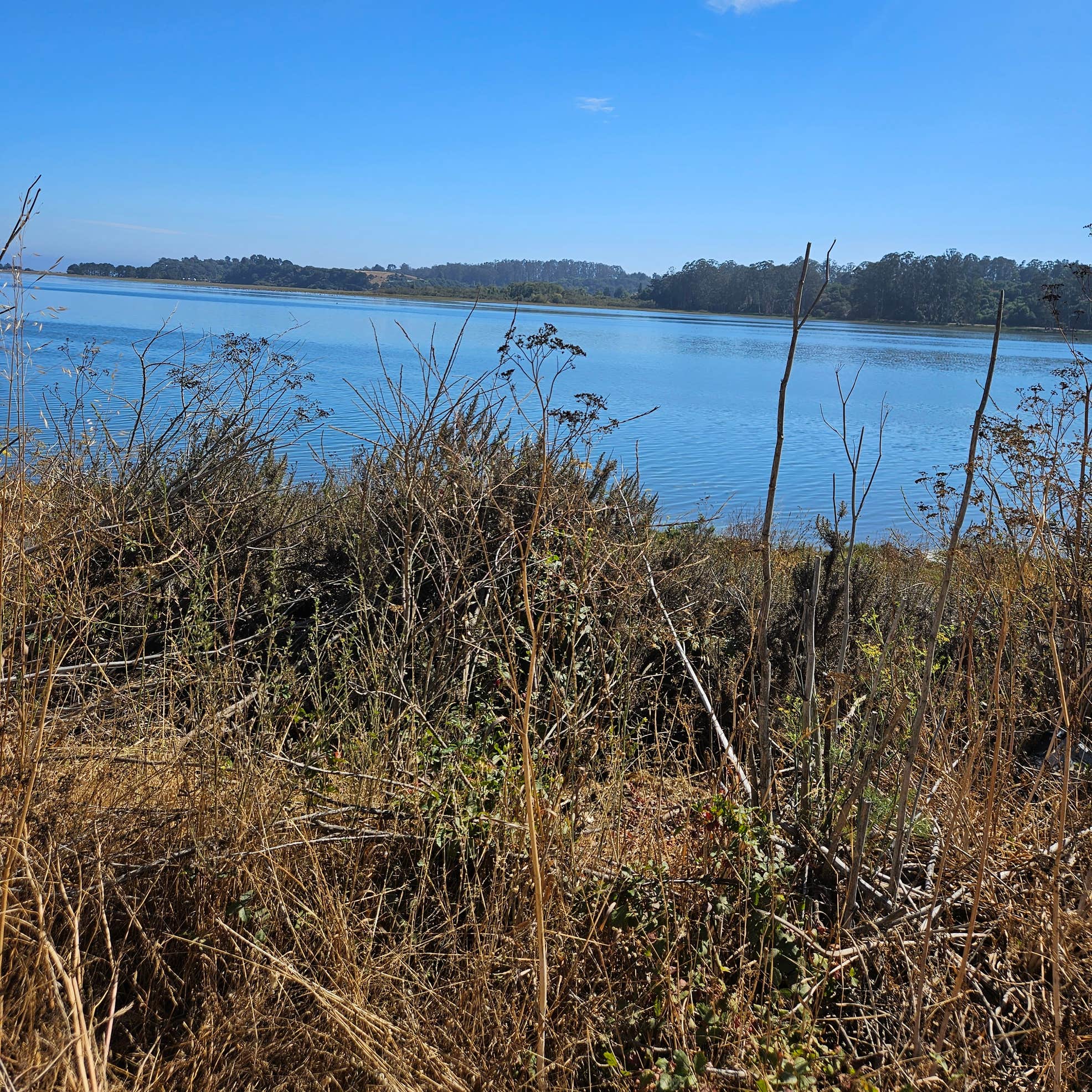 Olema Campground | Olema, California