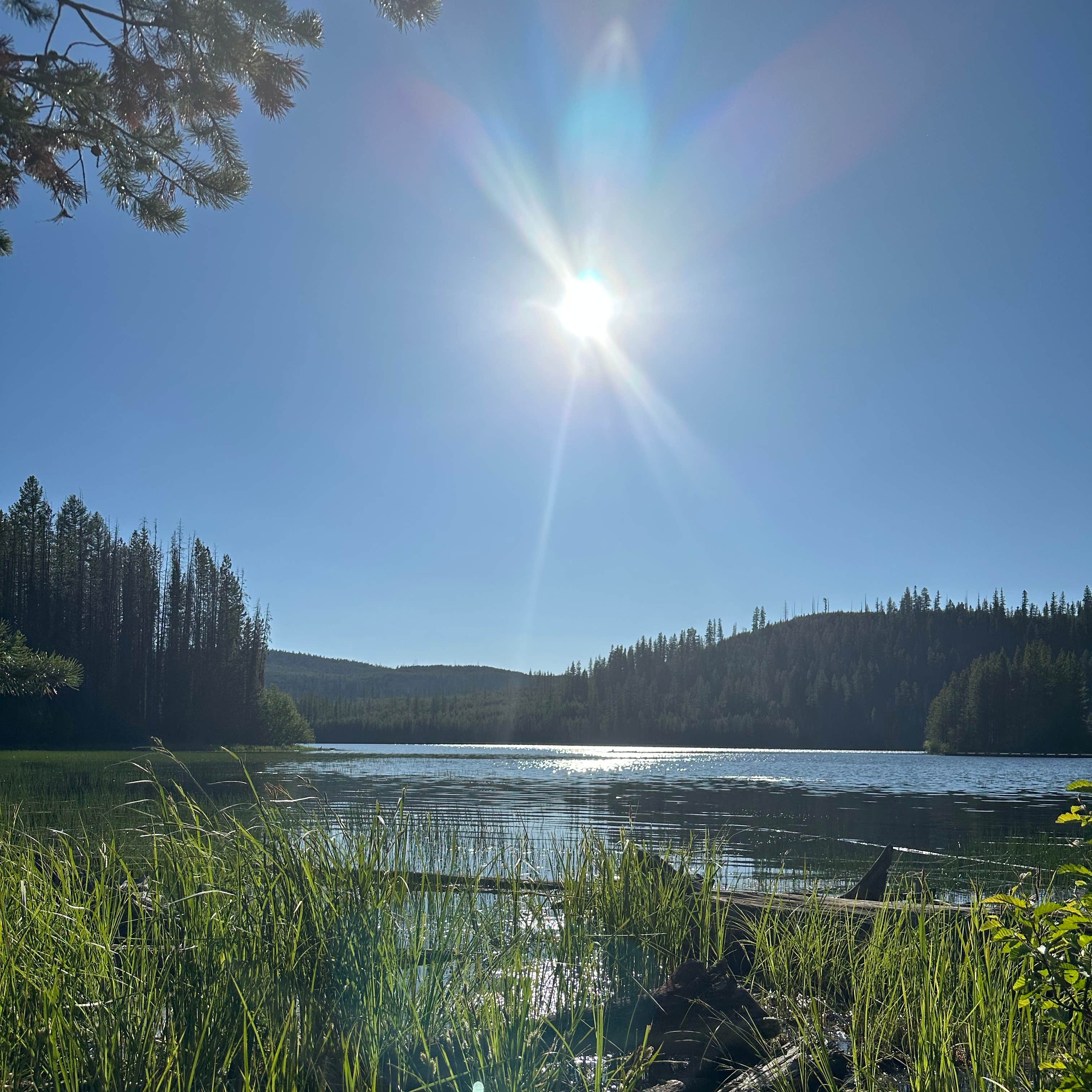 Olive Lake Campground (Or) — Umatilla National Forest | Sumpter, Oregon