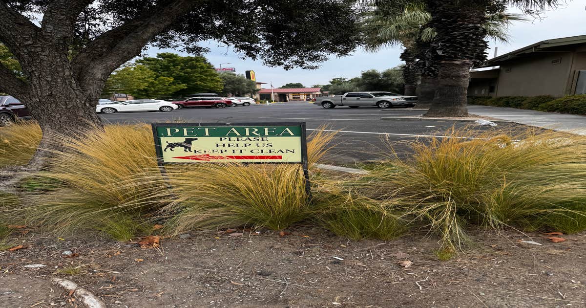 Olive Pit Dispersed Lot Camping | Corning, California