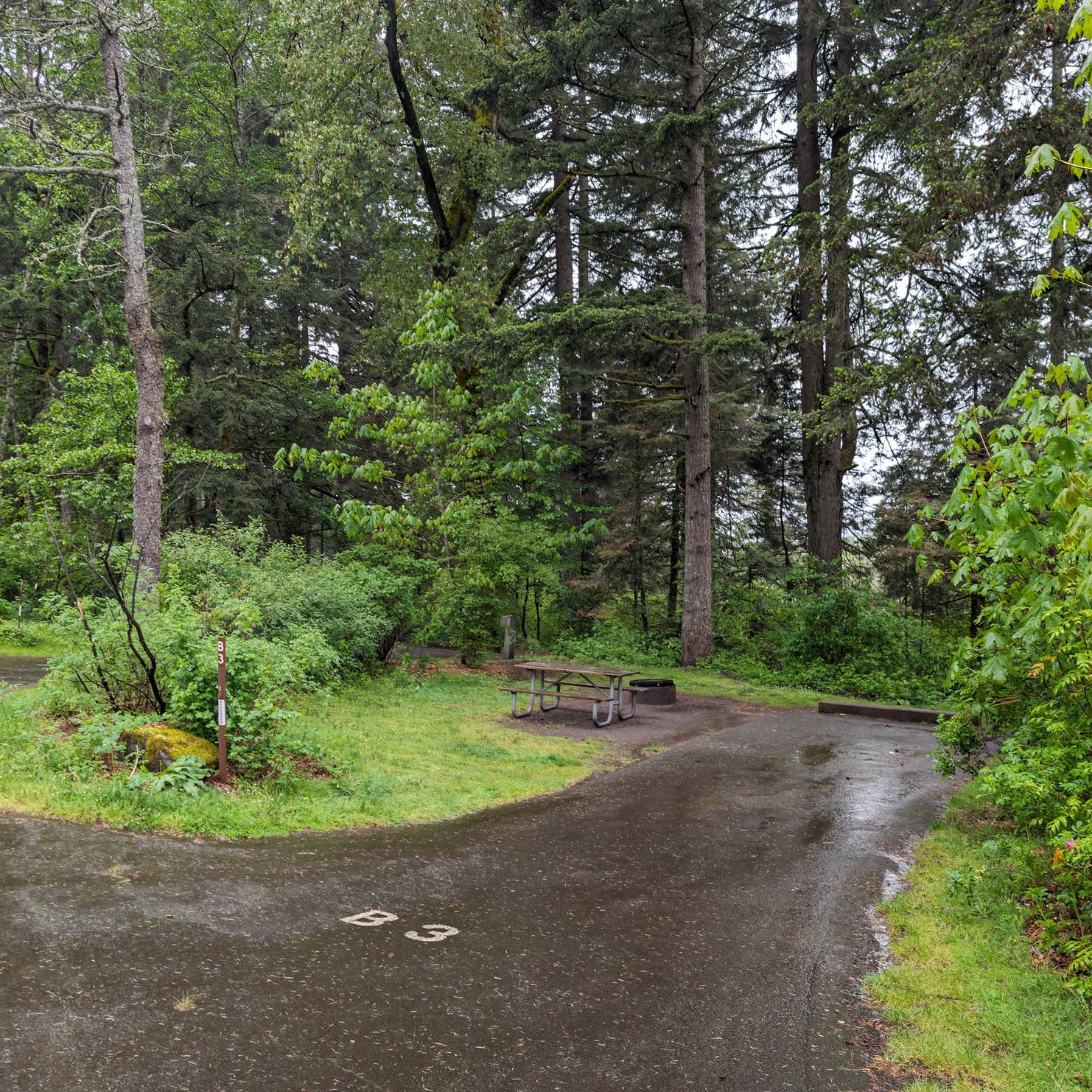 Ainsworth State Park Campground | Cascade Locks, OR