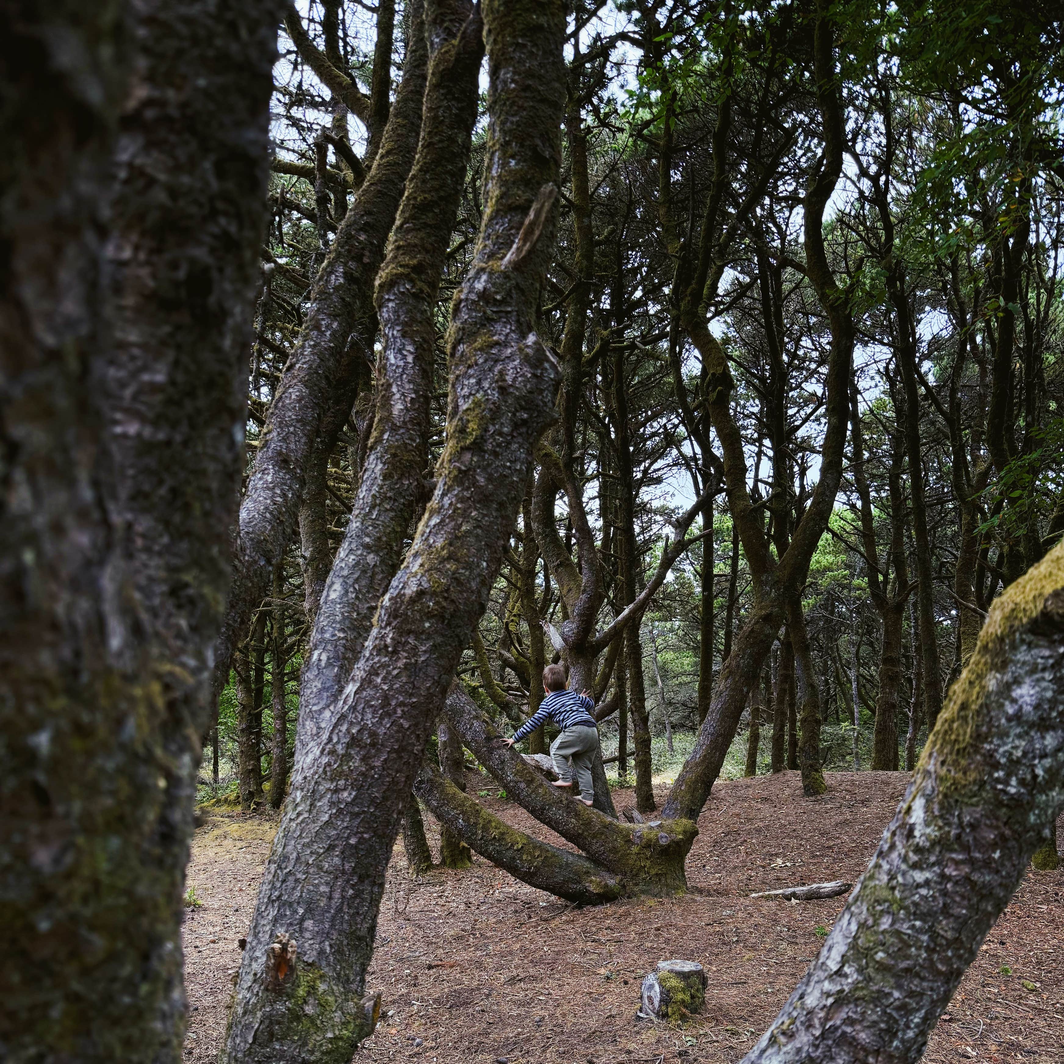 Barview Jetty County Campground | Rockaway Beach, Oregon