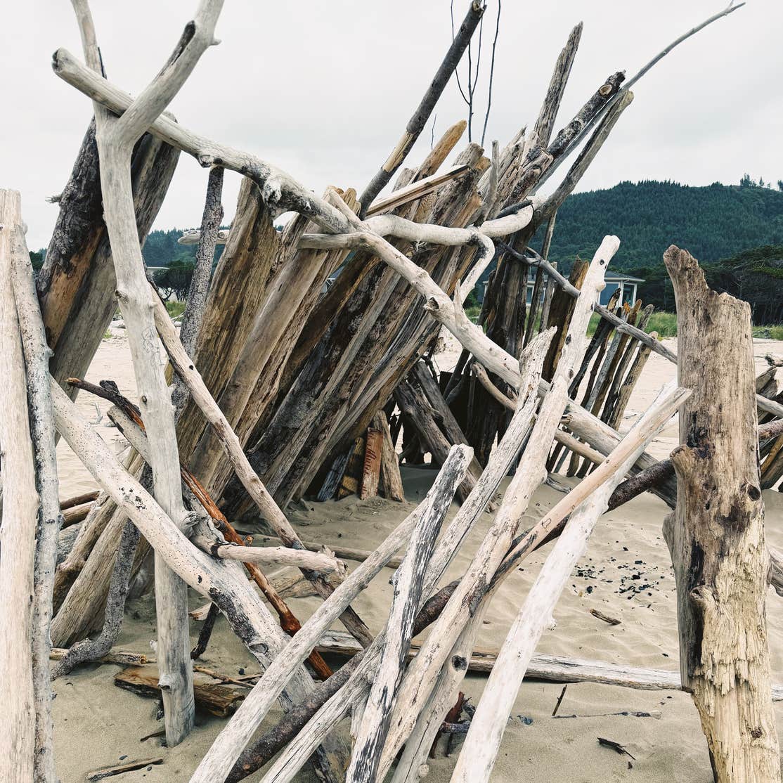 Barview Jetty County Campground | Rockaway Beach, Oregon